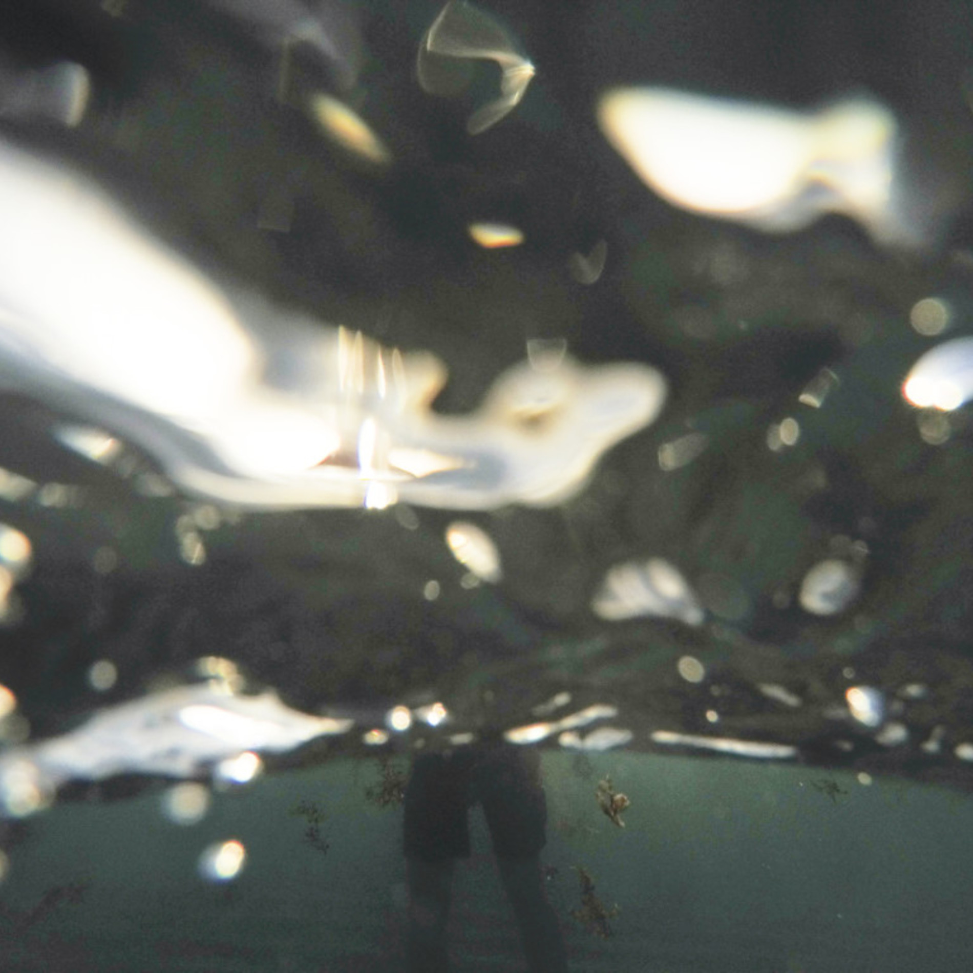 Morgan Carlier Van Elslande - Abri Genève